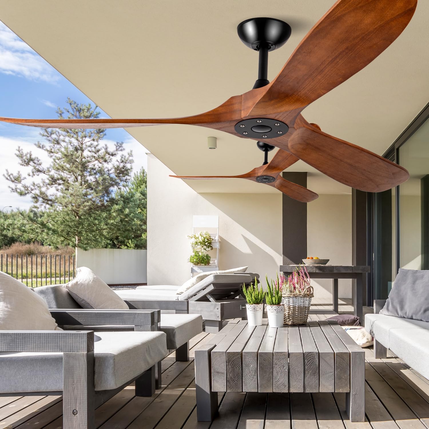 Amazon.com: Wofifly 52'' Black and Gold Ceiling Fans No Light with ...