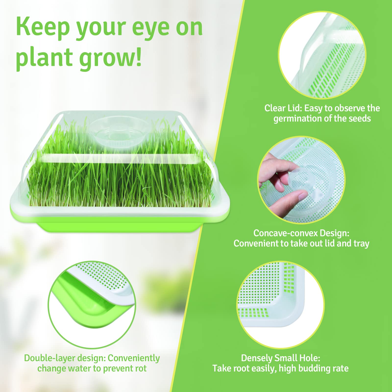 Snapklik.com : Legigo 2 Pack Seed Sprouter Trays