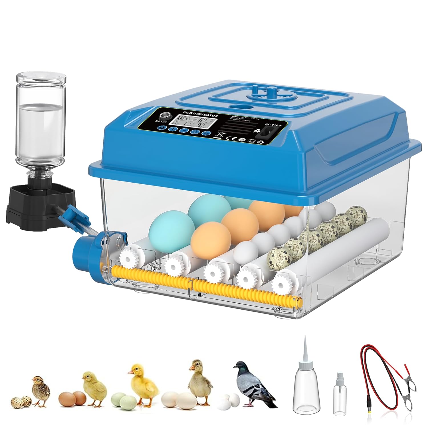 Amazon.com: CoInceptus 16 Eggs Incubators for Hatching Eggs, Egg ...