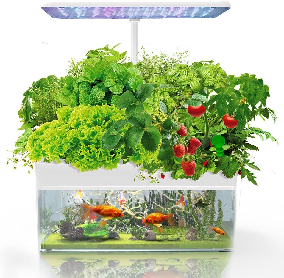 PlantCraft My Farm 12 Pod Indoor Hydroponic Growing System, with Fish Tank : Amazon.com.au: Pet ...