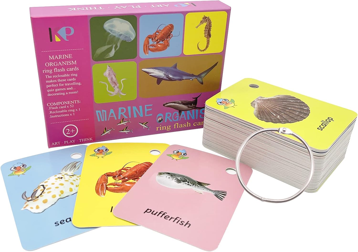 Amazon.com: Kids Ocean Animal Flash Cards for Toddlers 2-4 Years ...