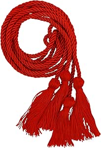 Amazon.com: CAMAL 2 Pieces Graduation Cords, 2024 Graduation Tassels 67 ...