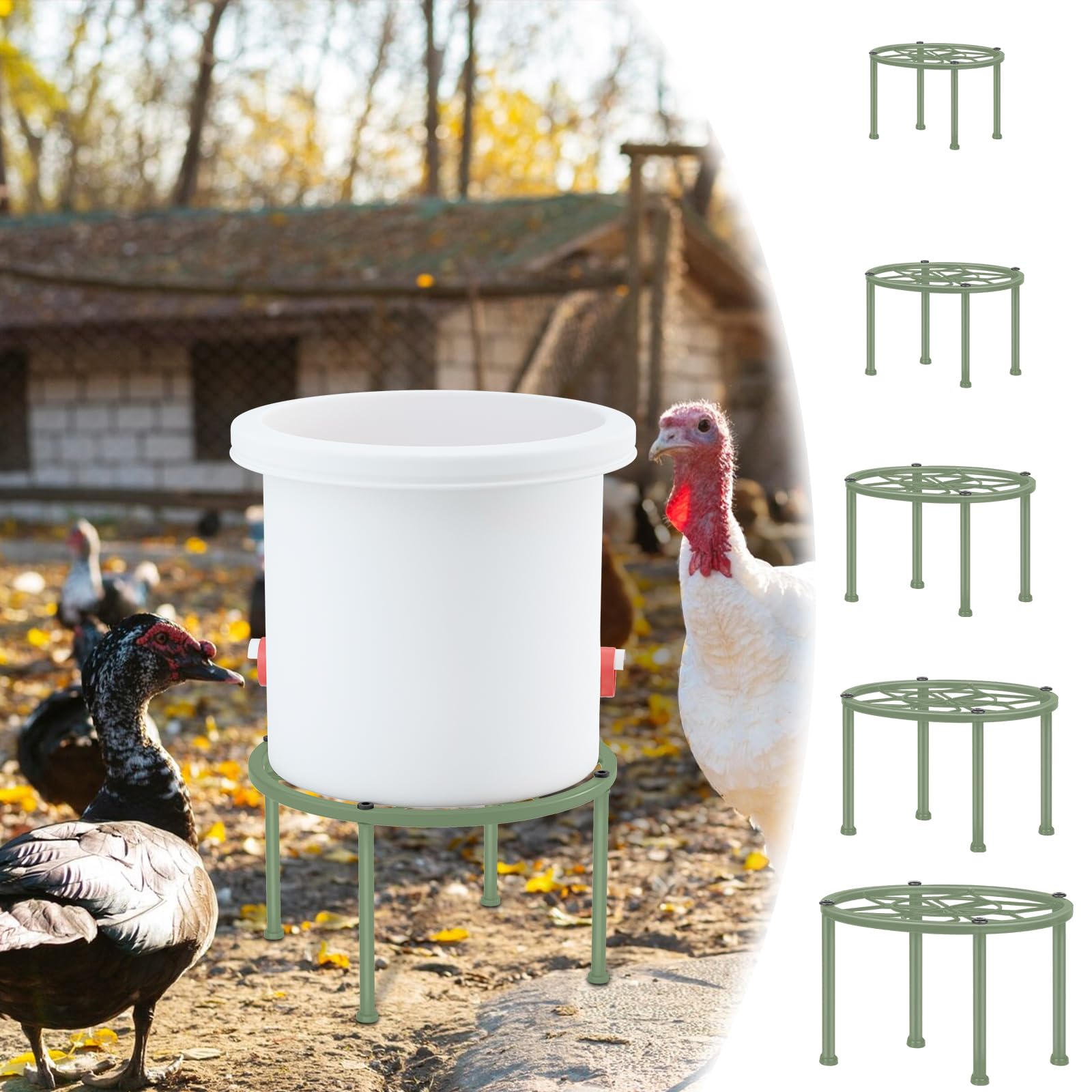 Amazon.com : 5-Pack Metal Stand for Chicken Feeder Waterer, Stand ...