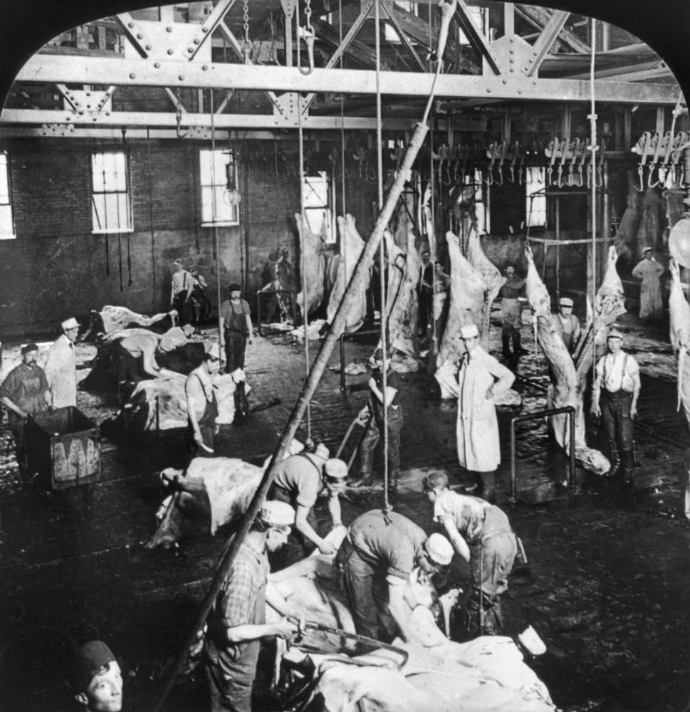 Amazon.com: Chicago Meatpacking Nfactory Workers Dressing Beef On The ...