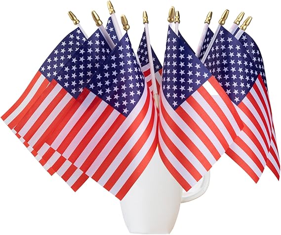 Amazon.com : 12 Pack Small American Flags on Stick 5x8 Inch/Mini ...