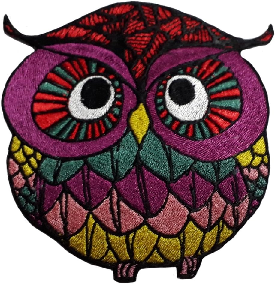 Amazon.com: Owl Patch Iron on Embroidered Applique Bird Owls (Large, 6)
