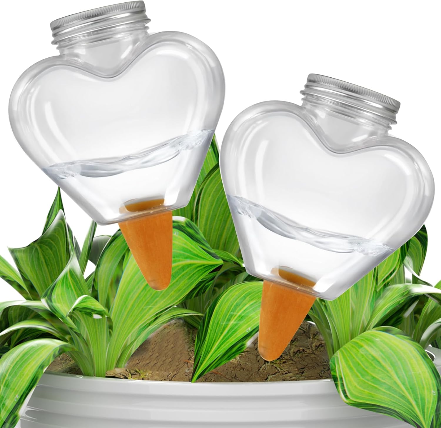 Amazon.com: NEAMVCT Self Plant Watering Globes, 18oz Love Watering ...