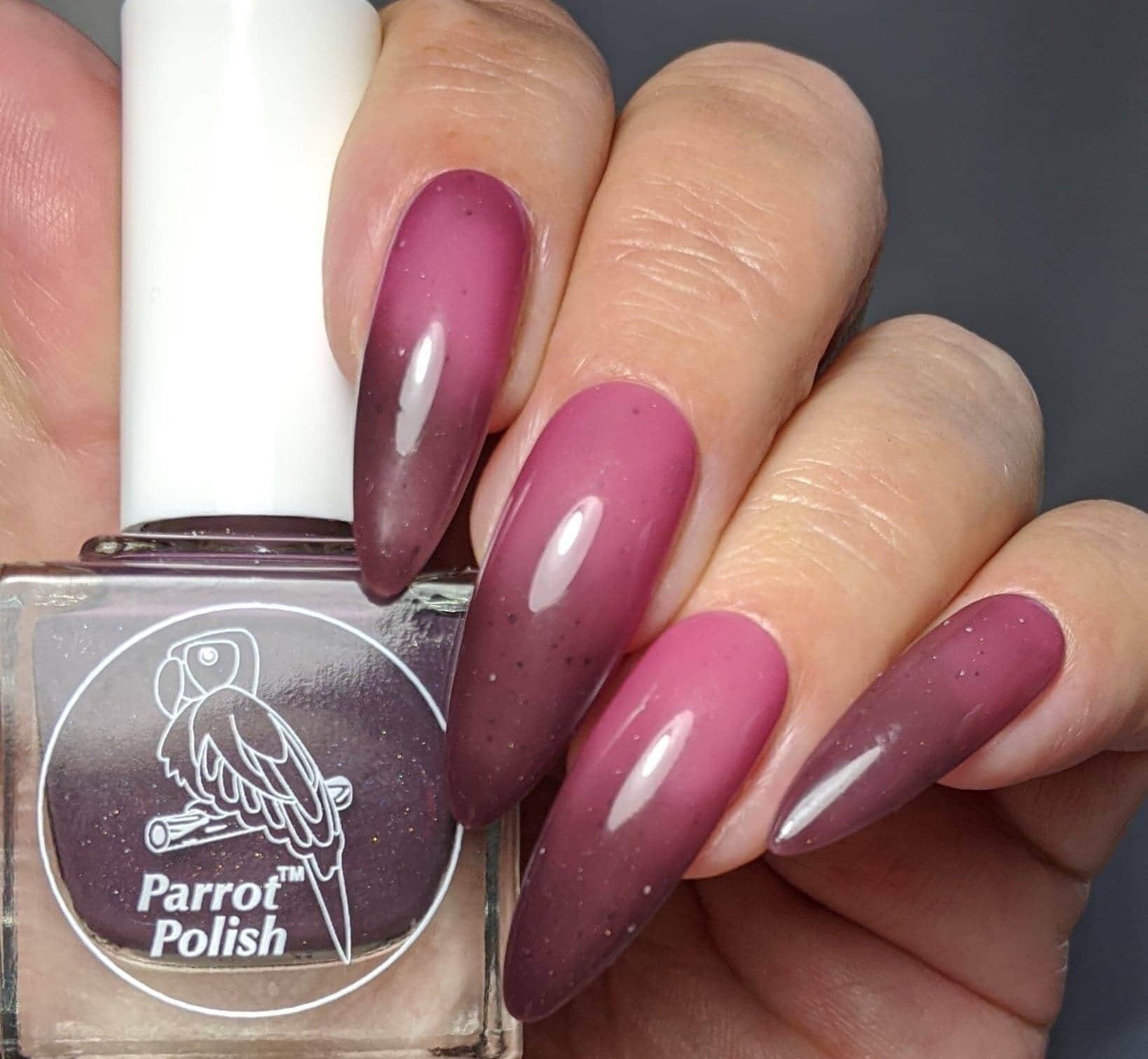 Amazon.com : Parrot Polish Black Dragon Thermal Nail Polish, Color ...