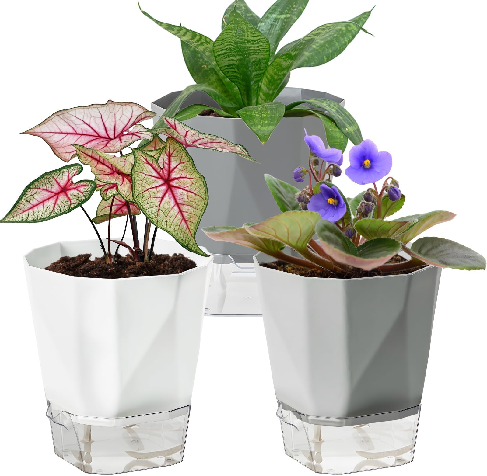 Amazon.com: 3 Pack Self Watering Plant Pot Set, 6.5 Inch Self Watering ...