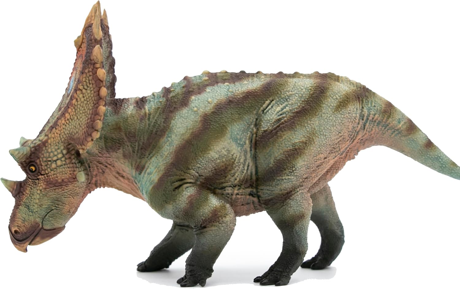 Amazon.com: HAOLONGGOOD New Utahceratops 1：35 Science and Art Model ...