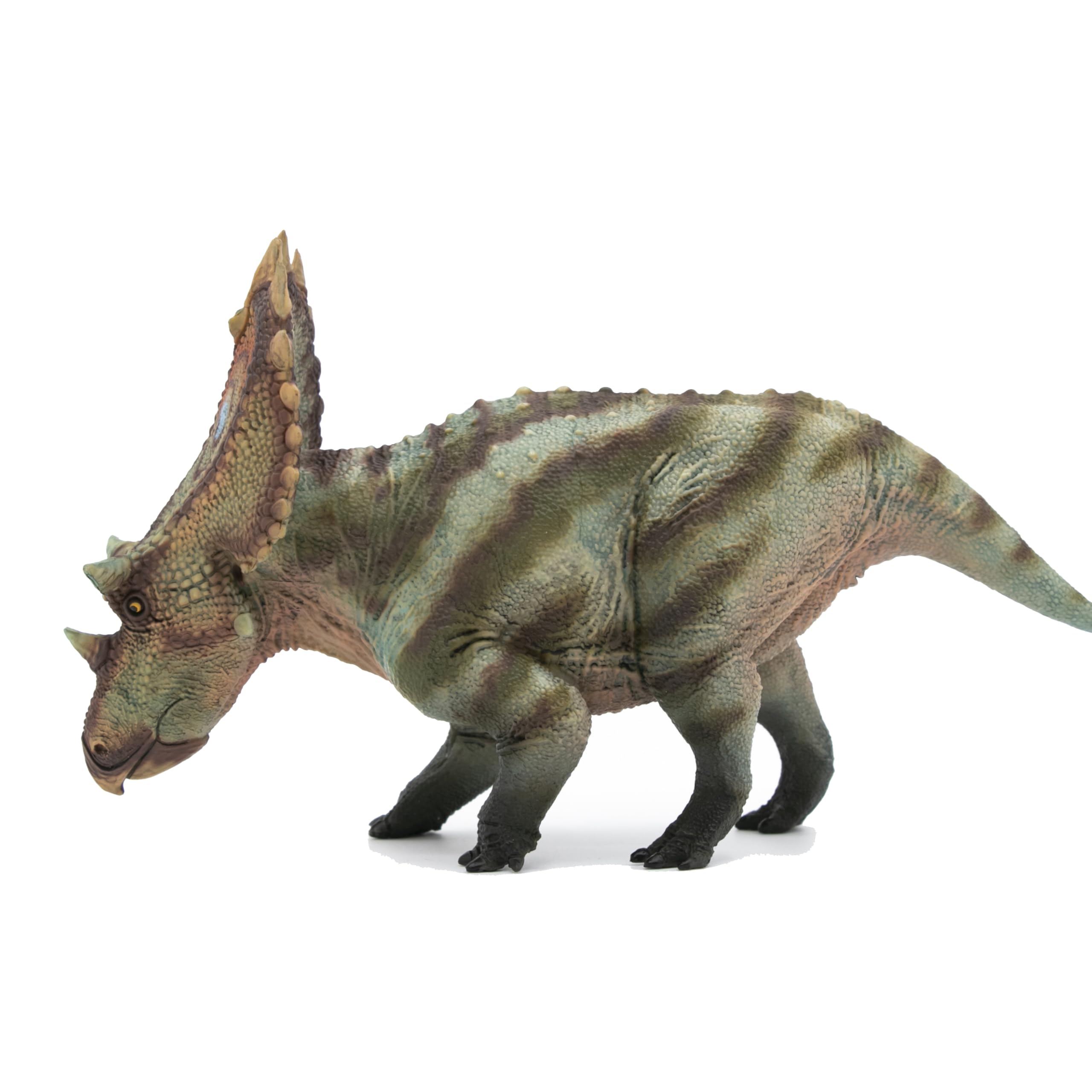 Amazon.com: HAOLONGGOOD New Utahceratops 1：35 Science and Art Model ...