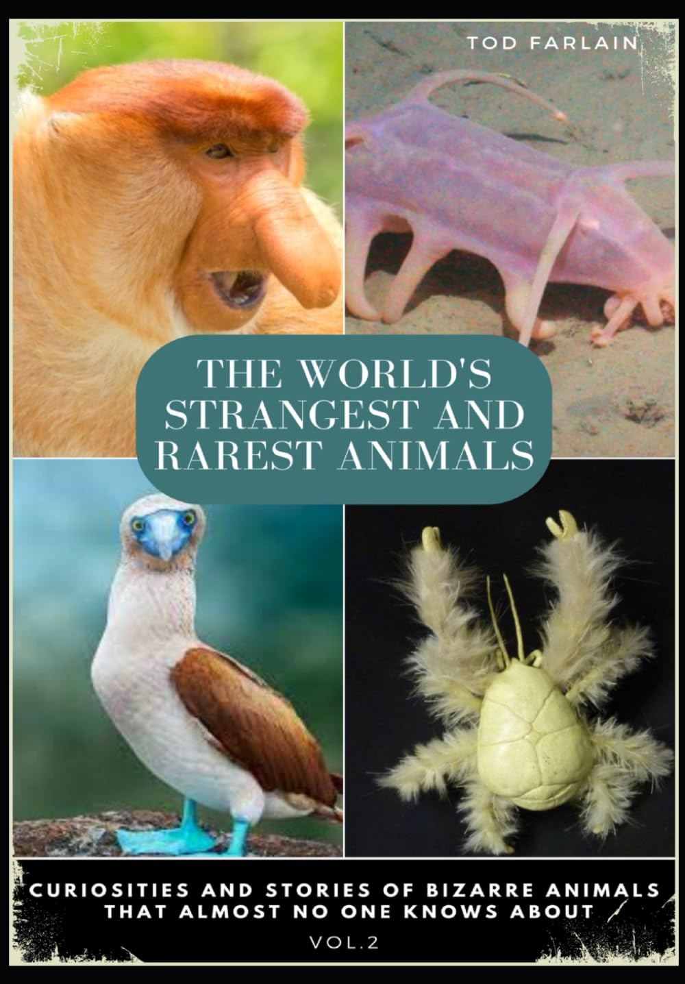 Rarest Creatures On Earth