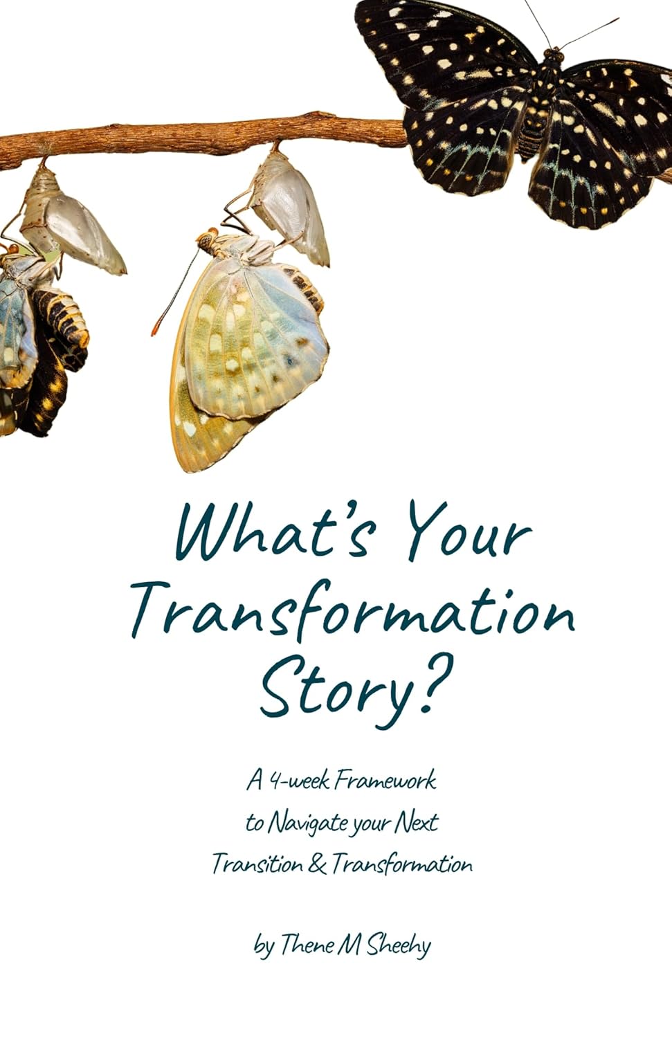 Amazon.com: What's Your Transformation Story?: A 4-week Framework to ...