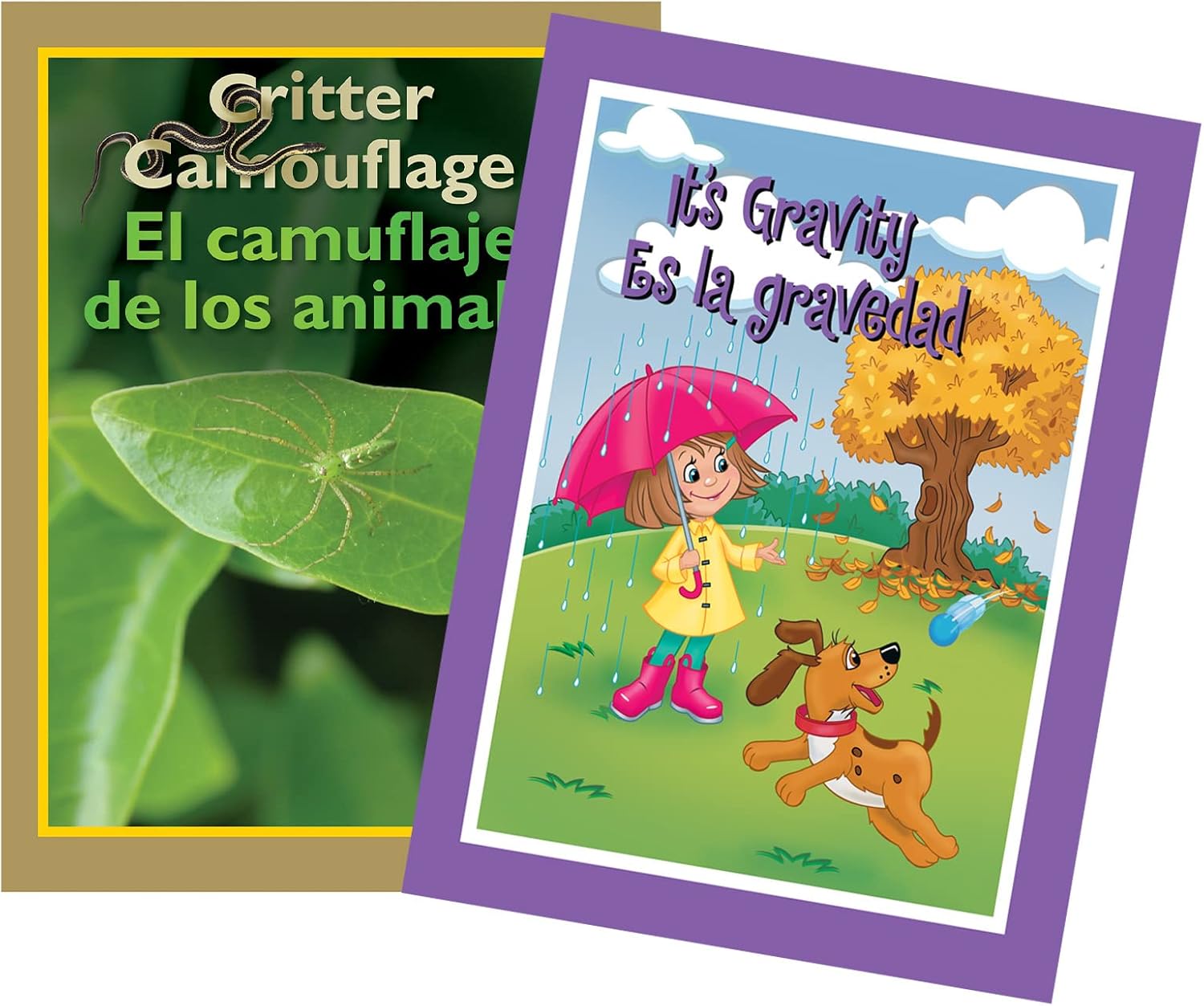 Amazon.com : Frog Street Story Folder Set 3 (15 Story Folders) : Office ...