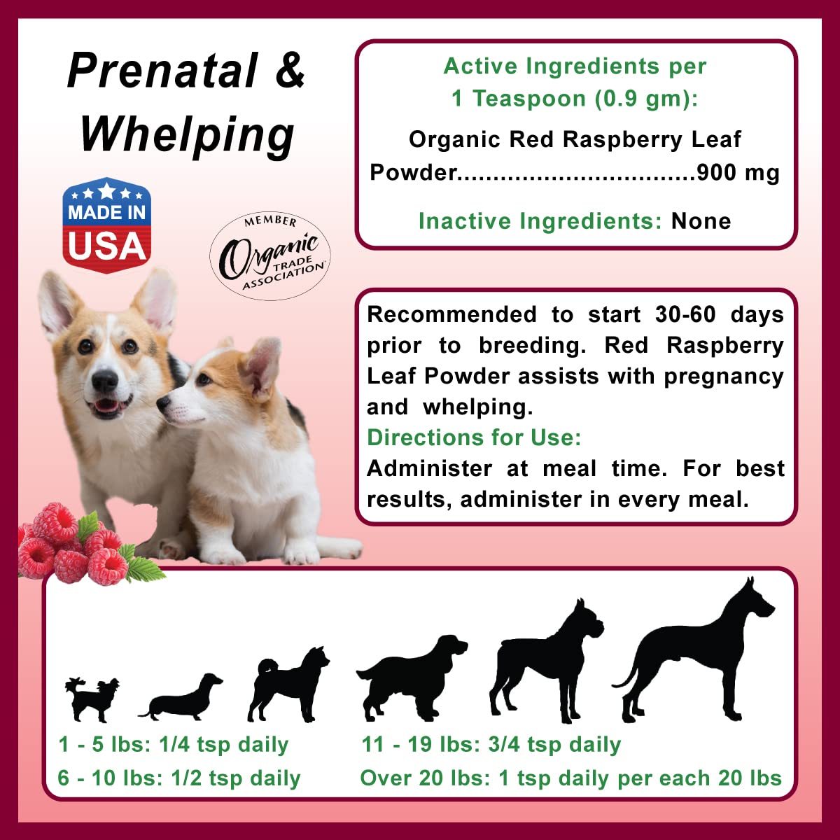 Can You Feed Dogs Raspberry