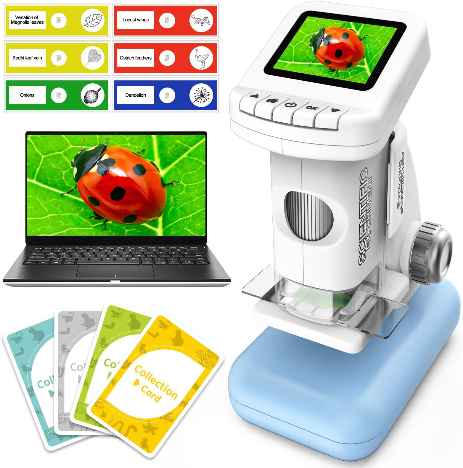 Amazon.com: 1000X Handheld Microscope for Kids 4K 2.0" Screen ...