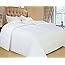 Amazon.com: Natural Comfort White Down Alternative Comforter with ...