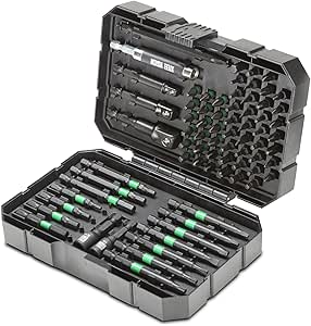 Steel Vision Tools 73 pc Torsion Bit Set – Includes Phillips, Pozi ...