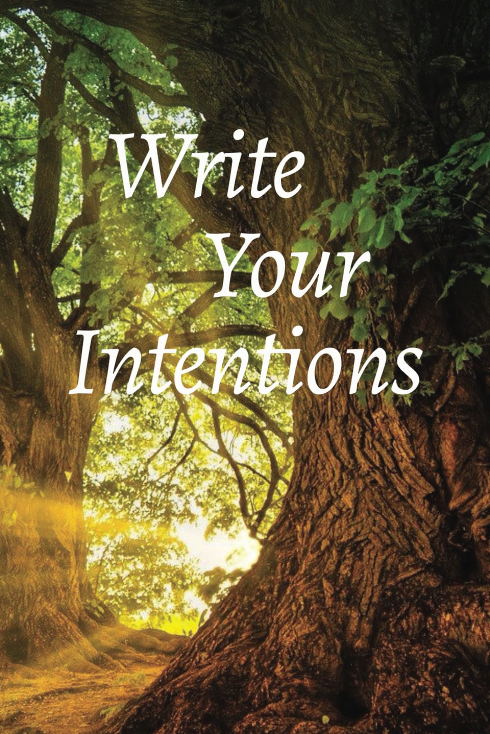 Write Your Intentions: Olinger, Amy: Amazon.com: Books