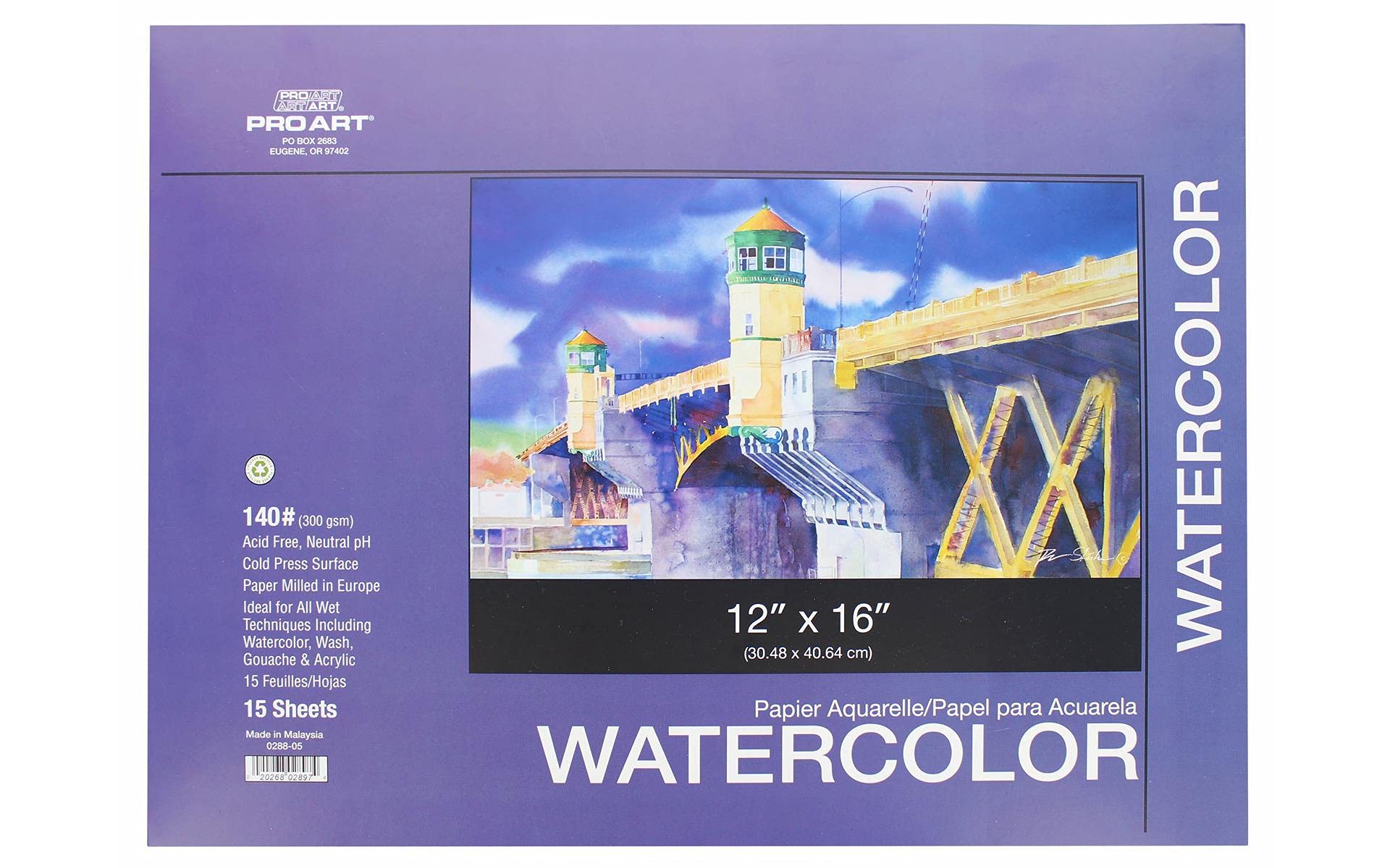 Amazon.com: PRO ART Watercolor Paper Pad, 12-inch x 16-inch, 15 Sheet ...