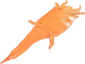 Amazon.com: PELGIO Genuine Crocodile Caiman Hornback Skin Leather Hide ...