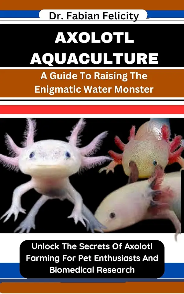 The Importance Of The Axolotl: Revealing Its Vital Role In Ecology And ...