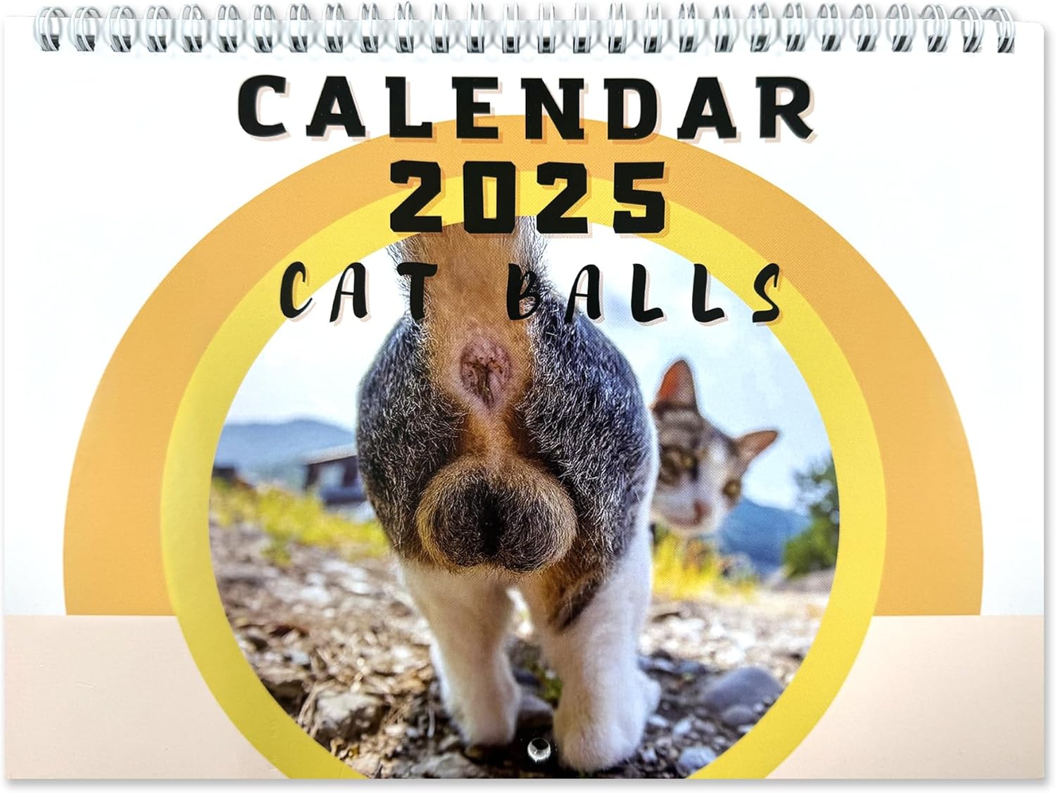 Mosytuky 2025 Funny Cat Calendar,Yearly Wall Calendar,Joke Present ...