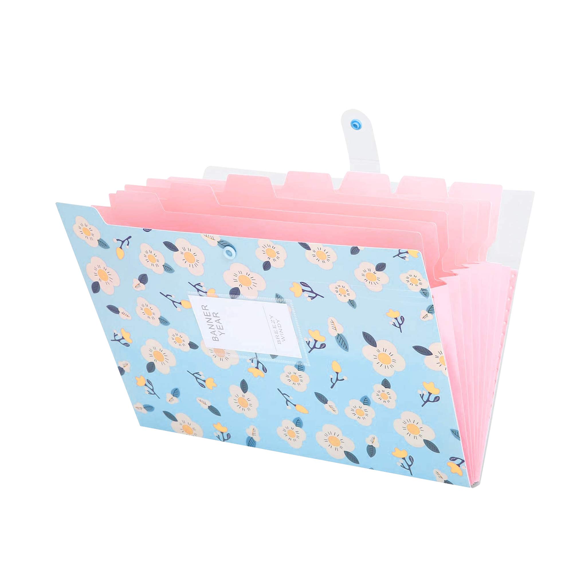 Accordion Folder For Girls