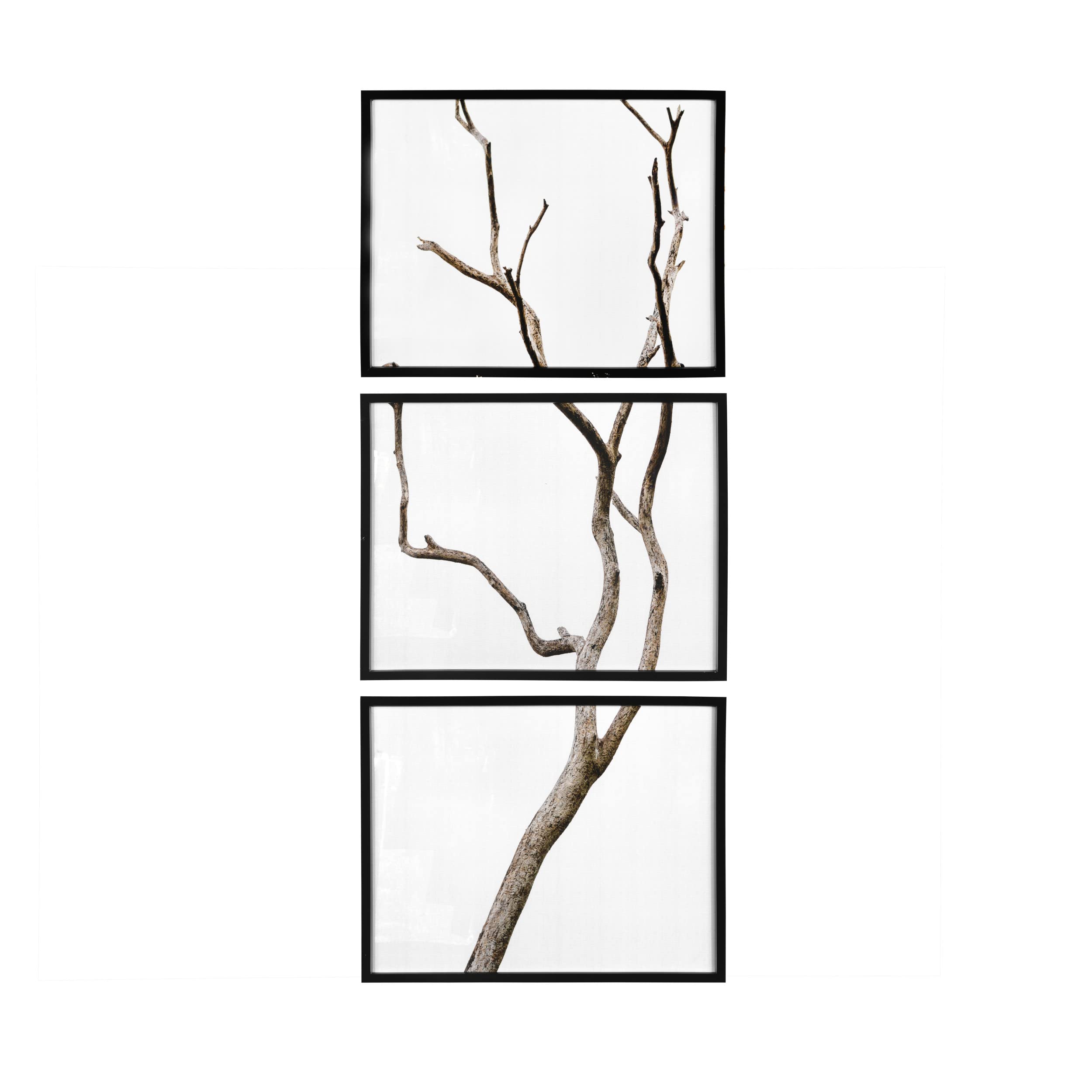 Framed Tree Branch Art