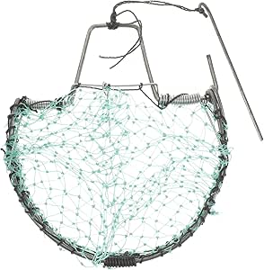 Amazon.com: BESPORTBLE Bird Hunting Cage Pigeon Quail Live Net Sparrow ...