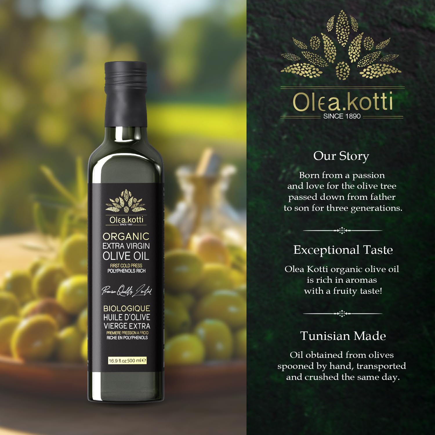 Olea Kotti AOVE 500ML Aceite de oliva virgen extra ultra premium ...