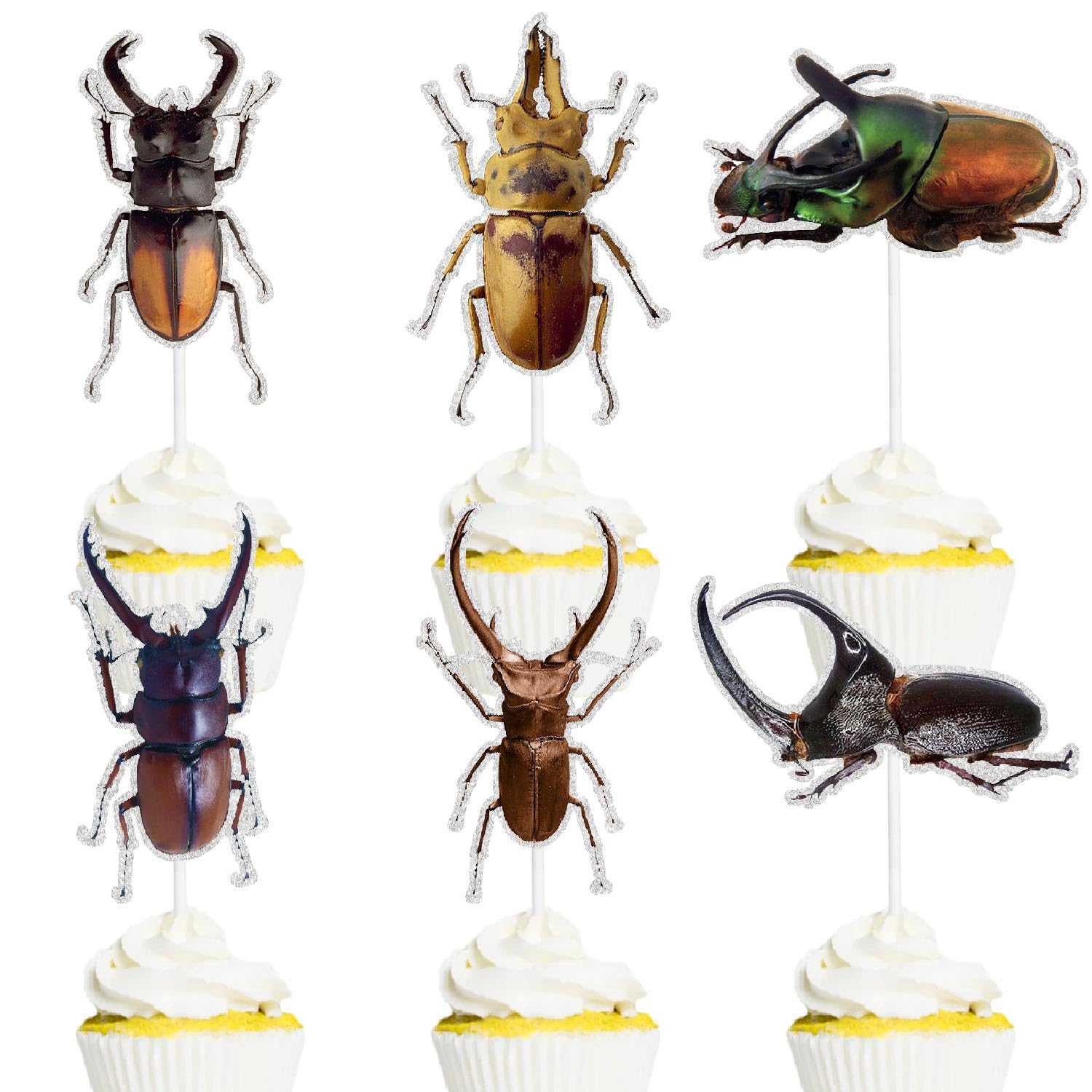 Amazon.com: Beetle Cupcake Toppers 18pcs Insect Themed Happy Birthday ...