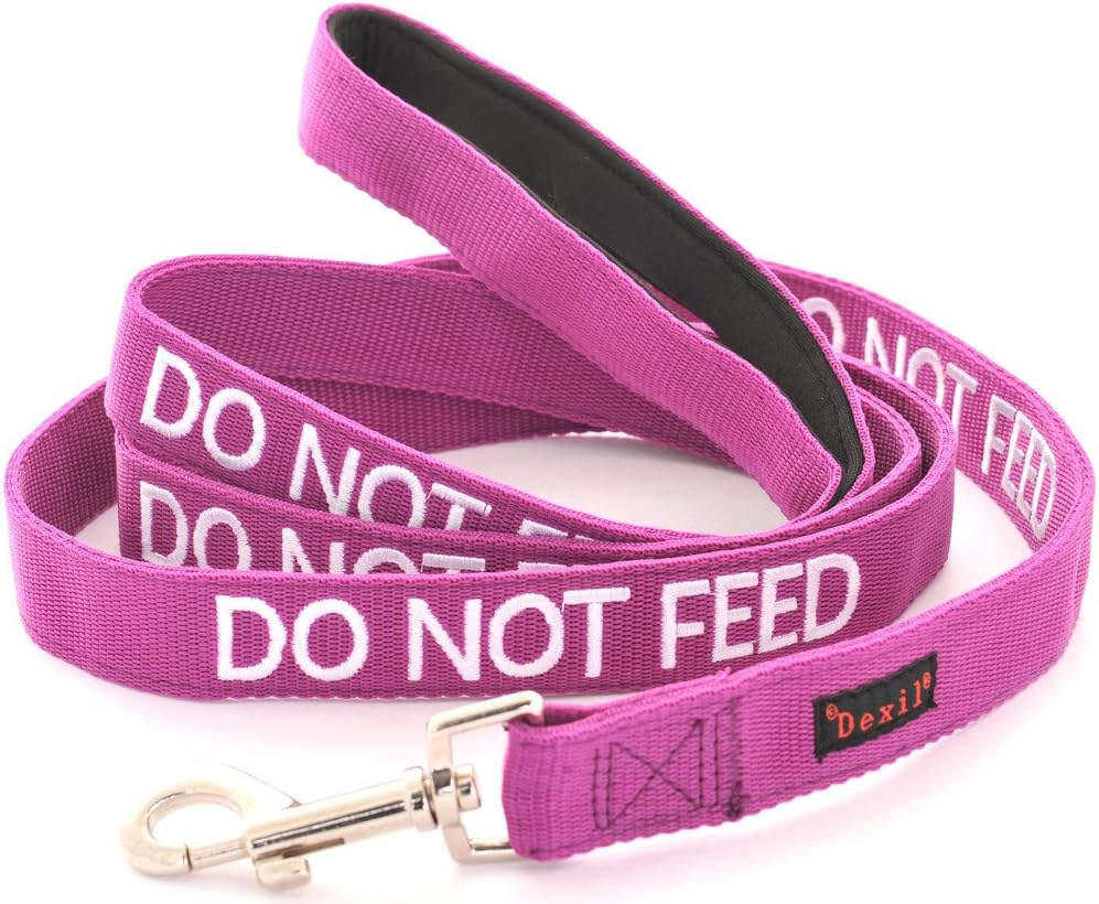 Amazon.com : Do Not Feed Purple Color Coded 2 4 6 Foot Padded Dog Leash ...