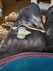 Amazon.com: PETLIBRO Interactive Cat Toy for Indoor Cats, [2024 ...