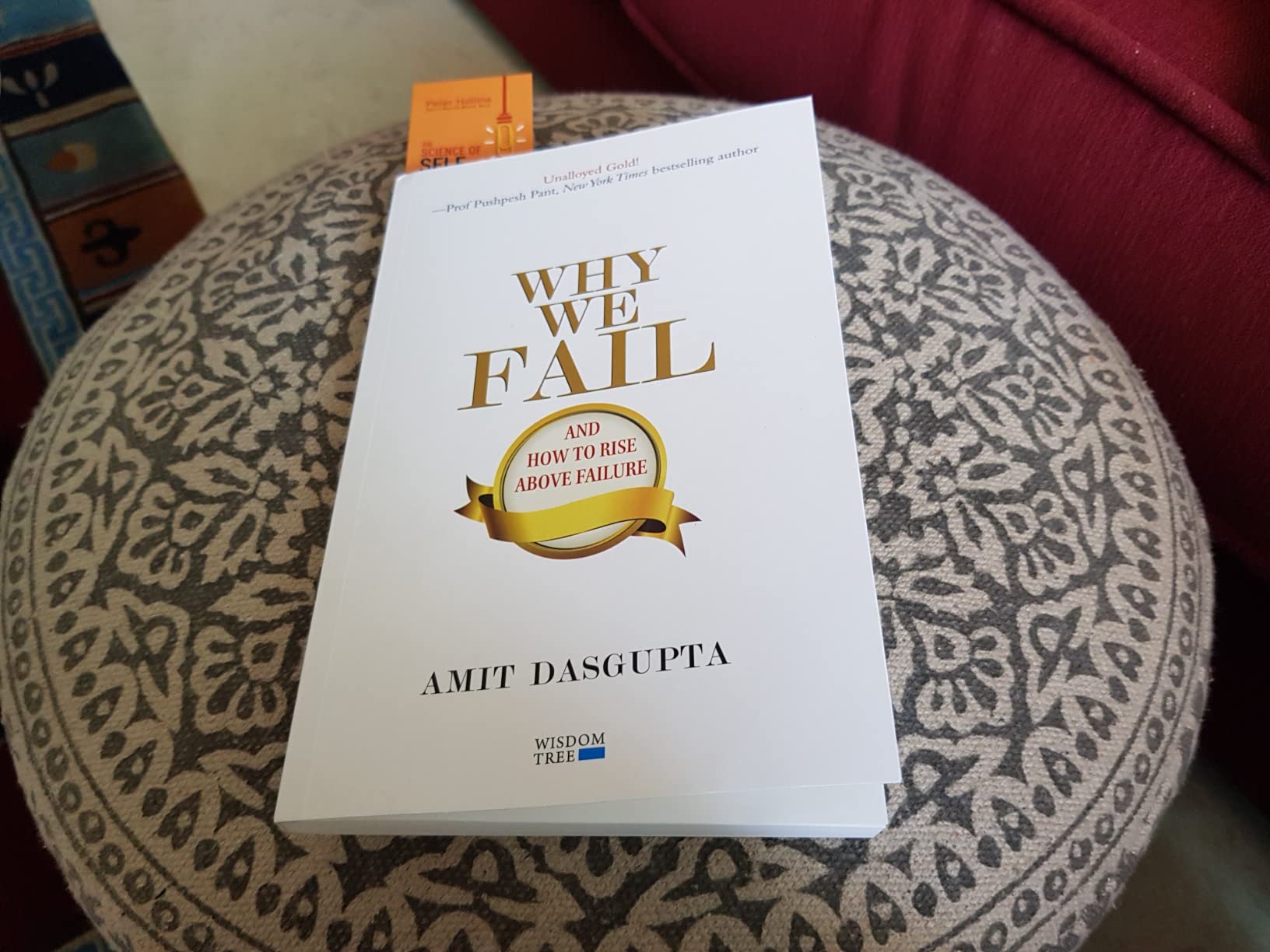 Buy Why We Fail and How to Rise Above Failure Book Online at Low Prices ...