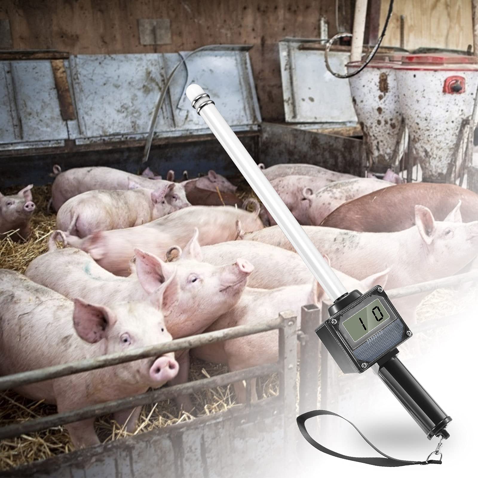 Buy ETE ETMATE Test Pig mating Information, Automatic Ovulation ...