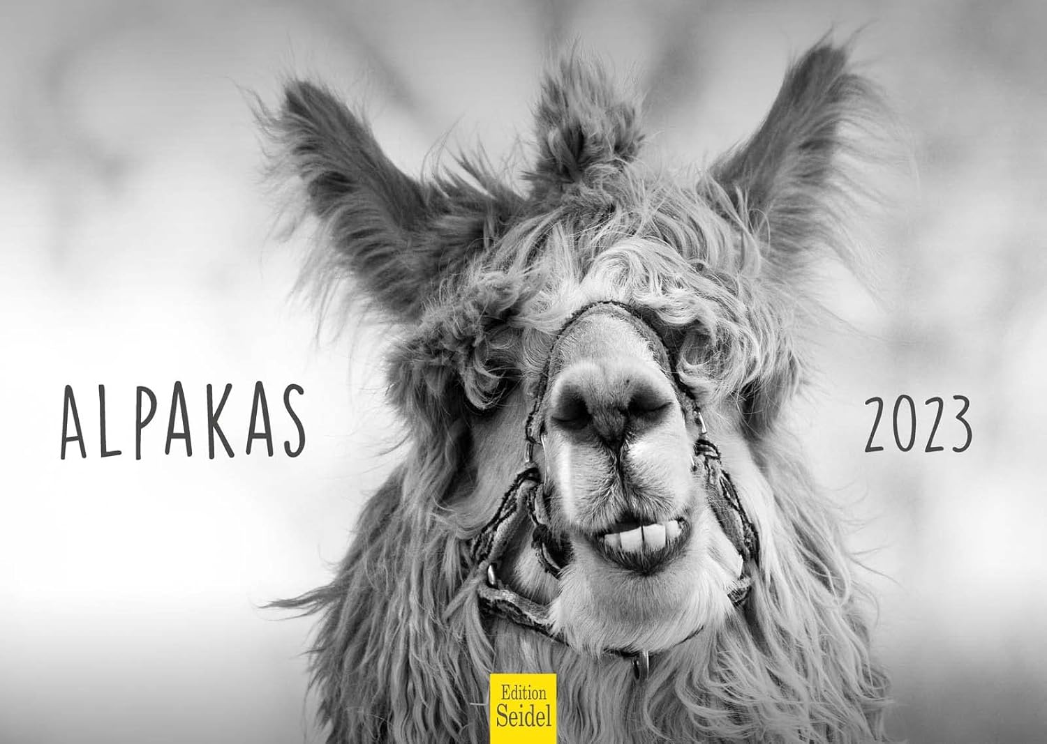 Alpakas Premium Calendario 2023 DIN A3 da parete Animali alpaca Lama ...