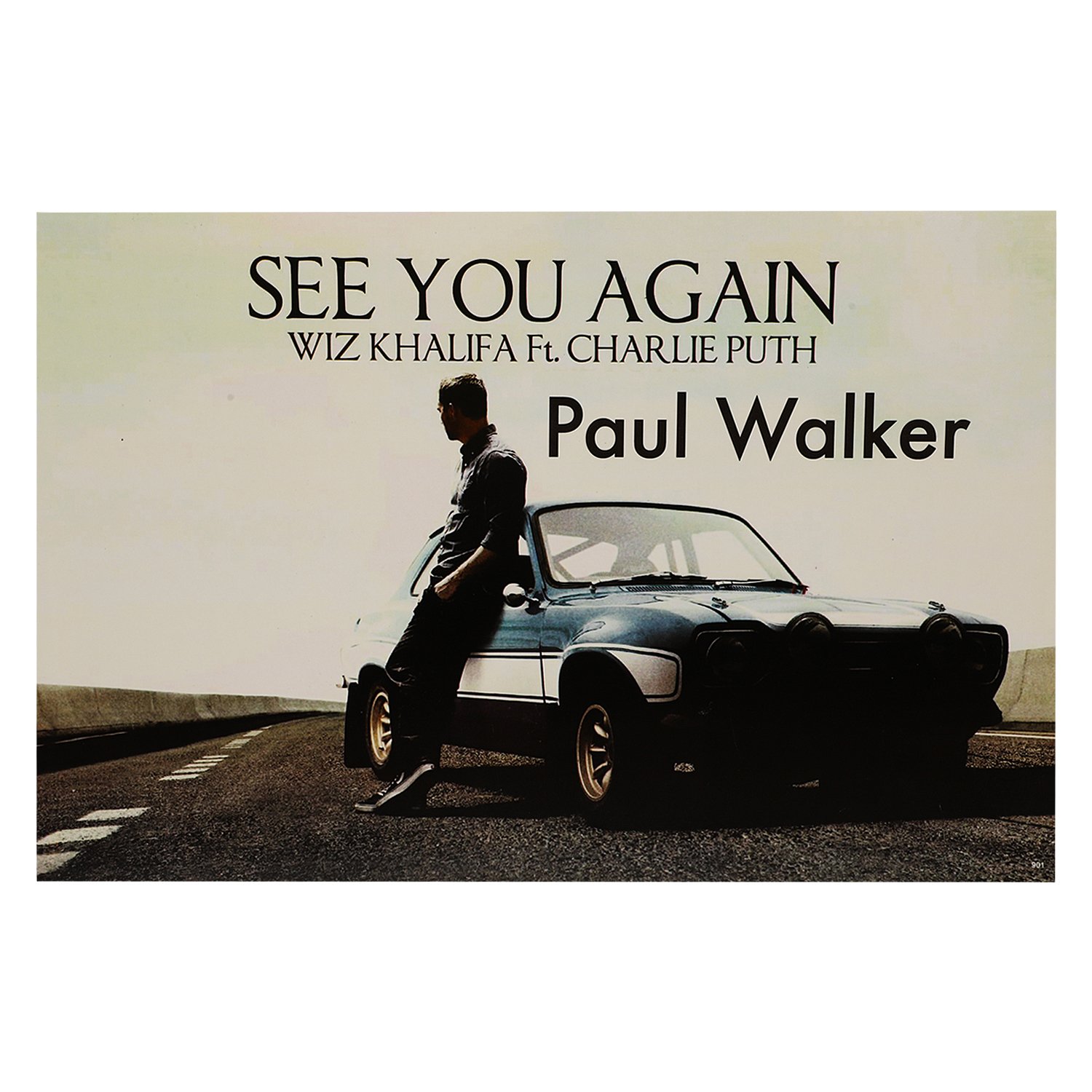 Paul Walker Fan Art