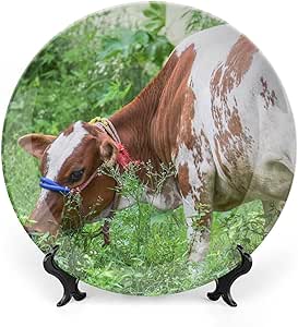 Amazon.com: Farm Animal Cow Cattle Commemorative Decorative Plates for ...