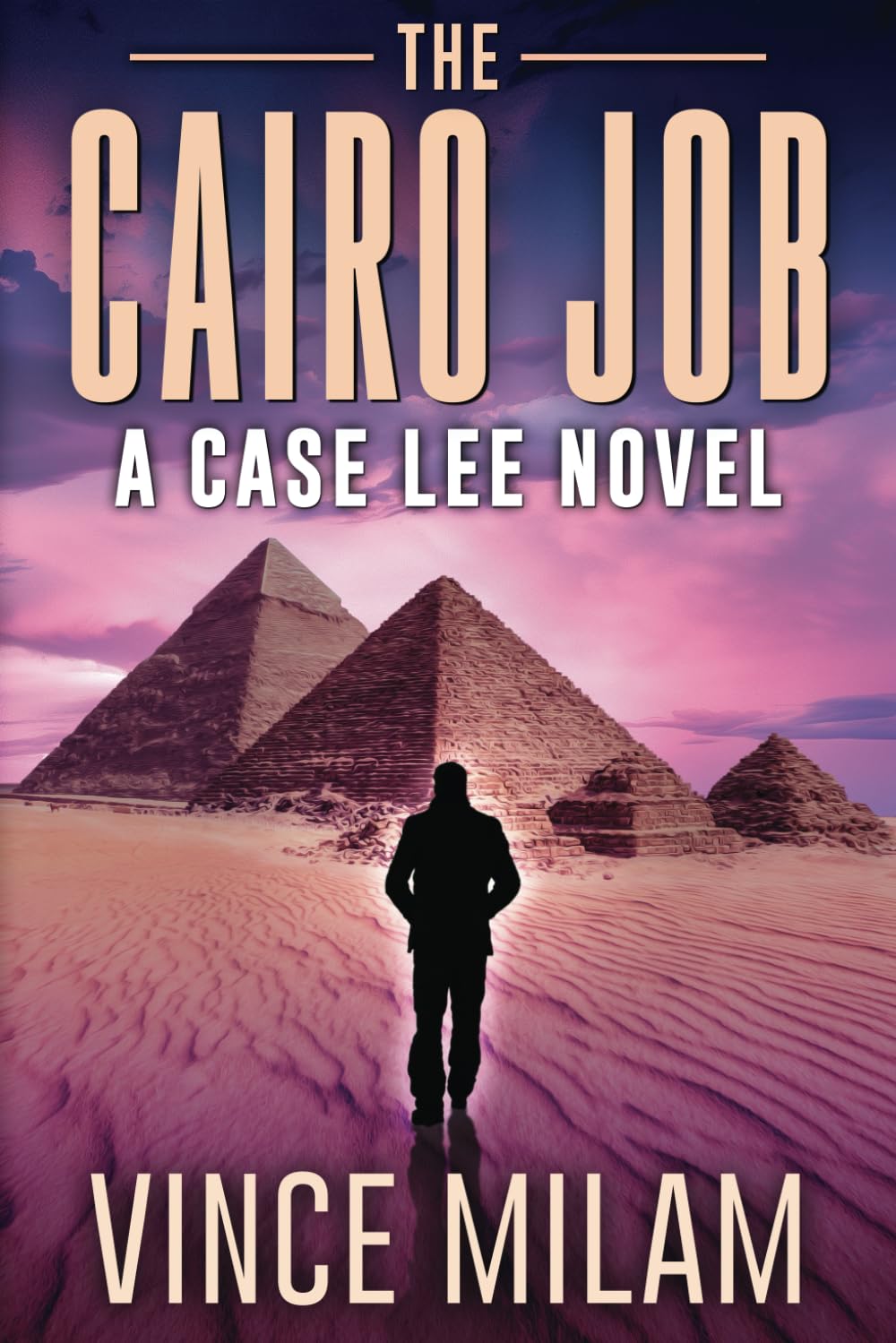Amazon.com: The Cairo Job: (A Case Lee Novel Book 13): 9798327132993 ...