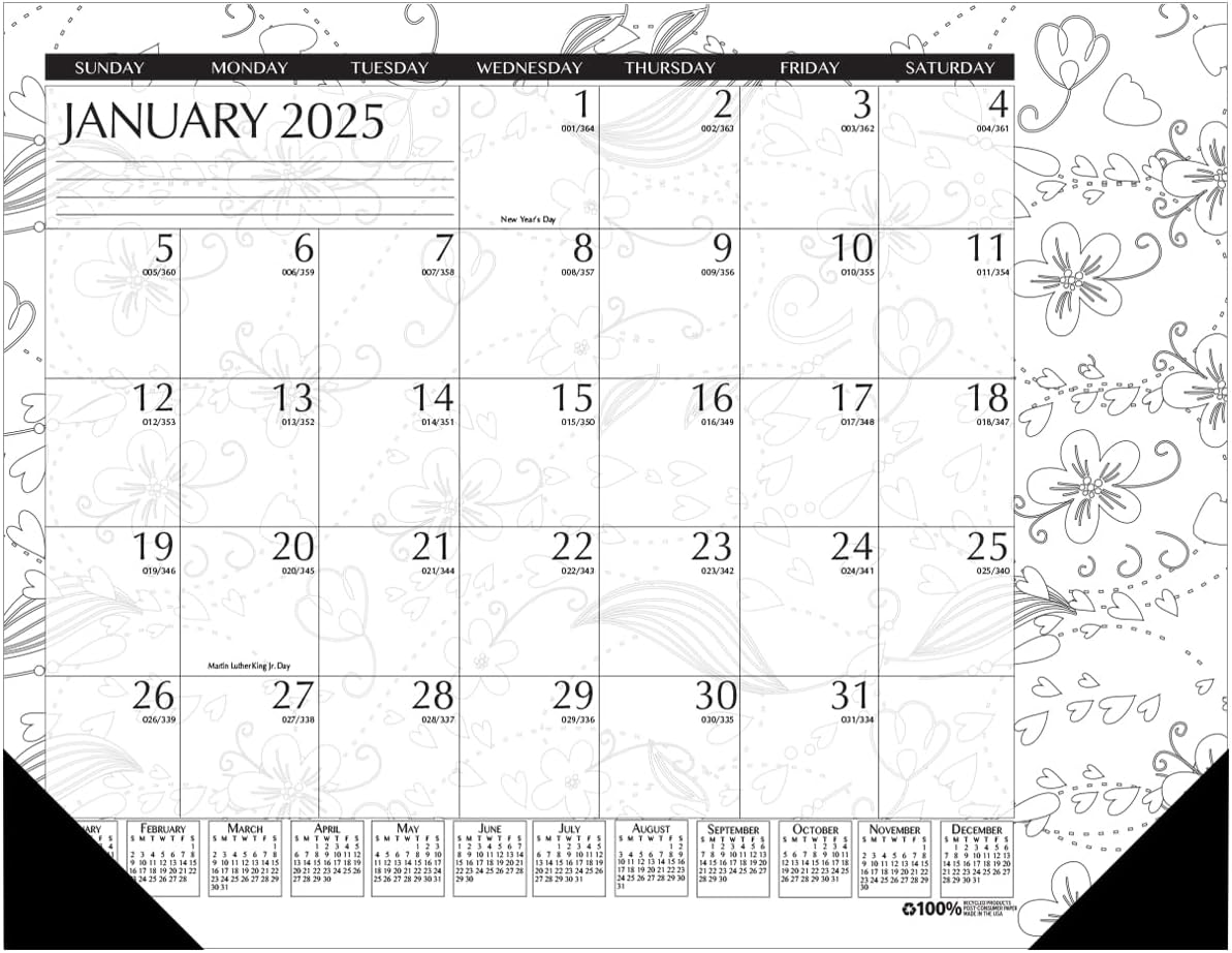 Amazon.com : House of Doolittle 2025 Monthly Desk Pad Calendar, Doodle ...