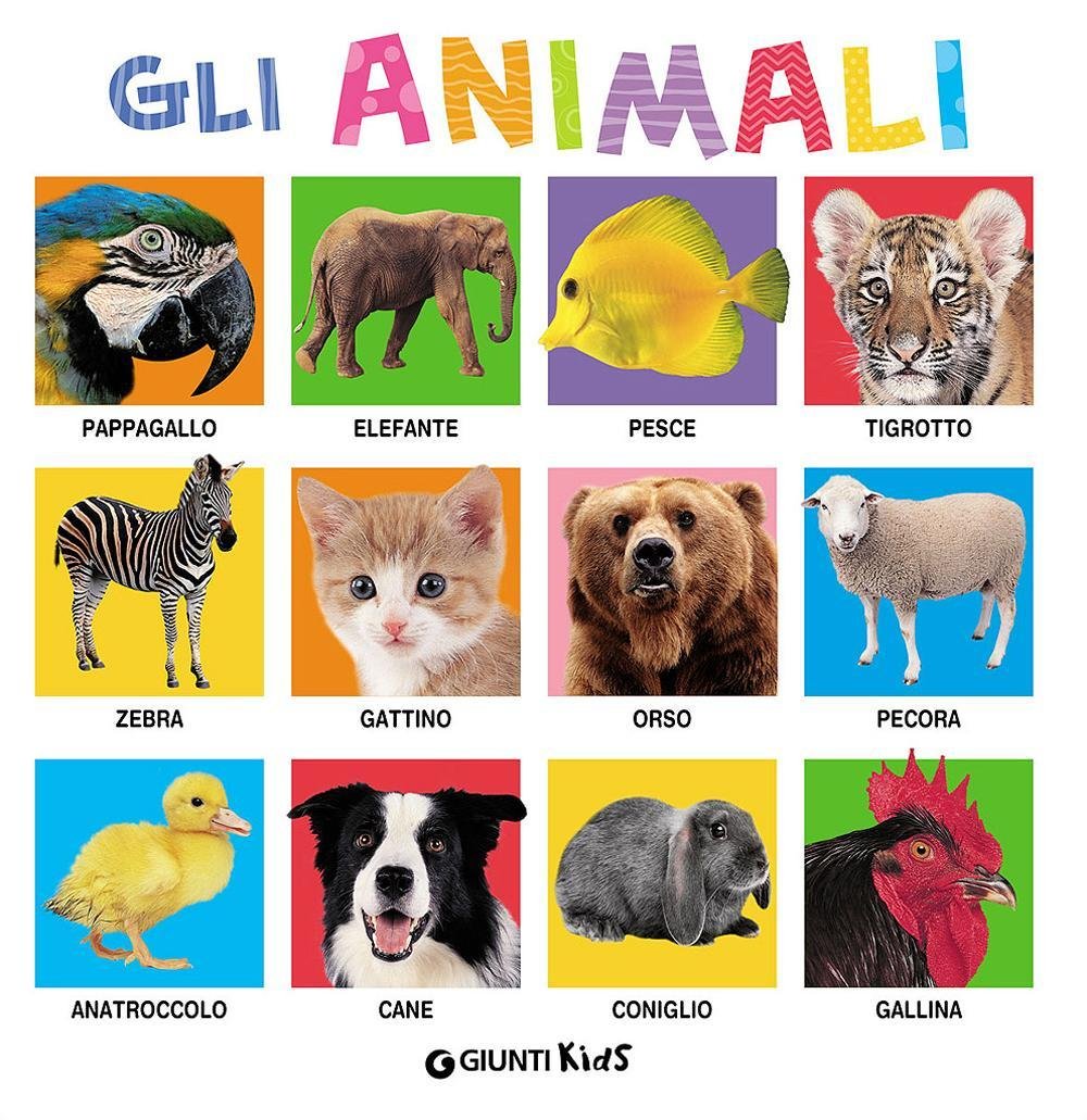 Amazon.com: Gli animali: 9788809835511: Giunti Kids: Libros