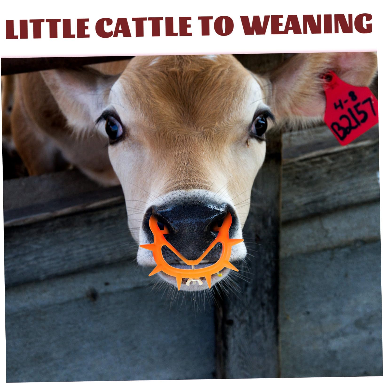 Nose Rings For Calves 20-Pack Calf Weaner Nose Rings - Plastic Milk ...