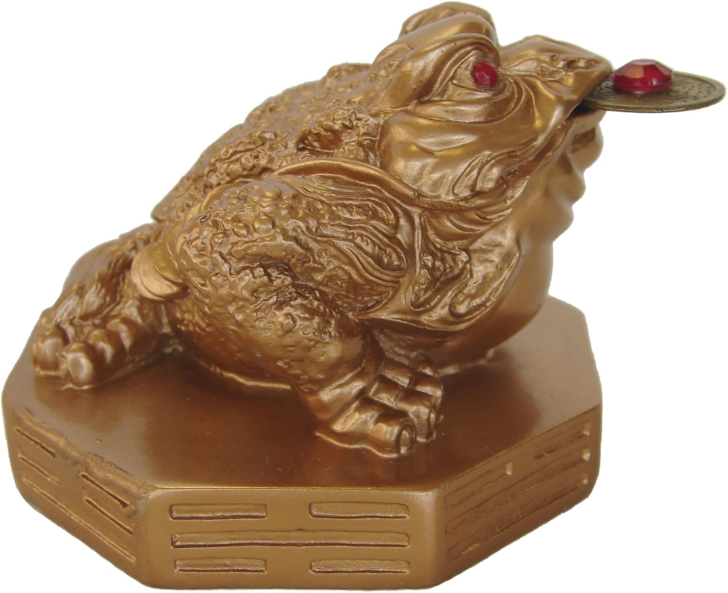 Amazon.com: Feng Shui Golden Money Frog Statue 3-Legged Money Toad ...