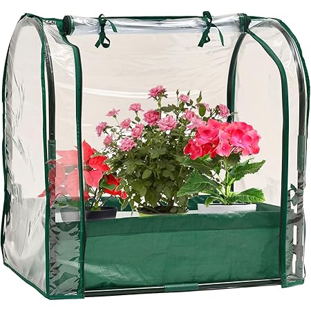 Amazon.com : Purlyu Mini Tabletop Garden Greenhouse Nursery Plant Cover ...