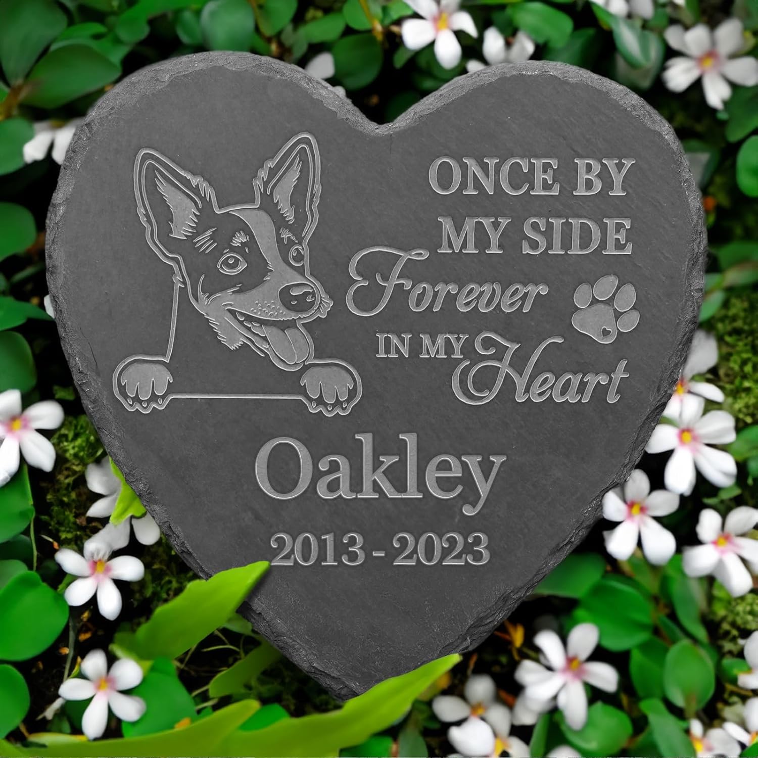 Amazon.com : VAPCUFF Personalized Rat Terrier Head Memorial, Rat ...