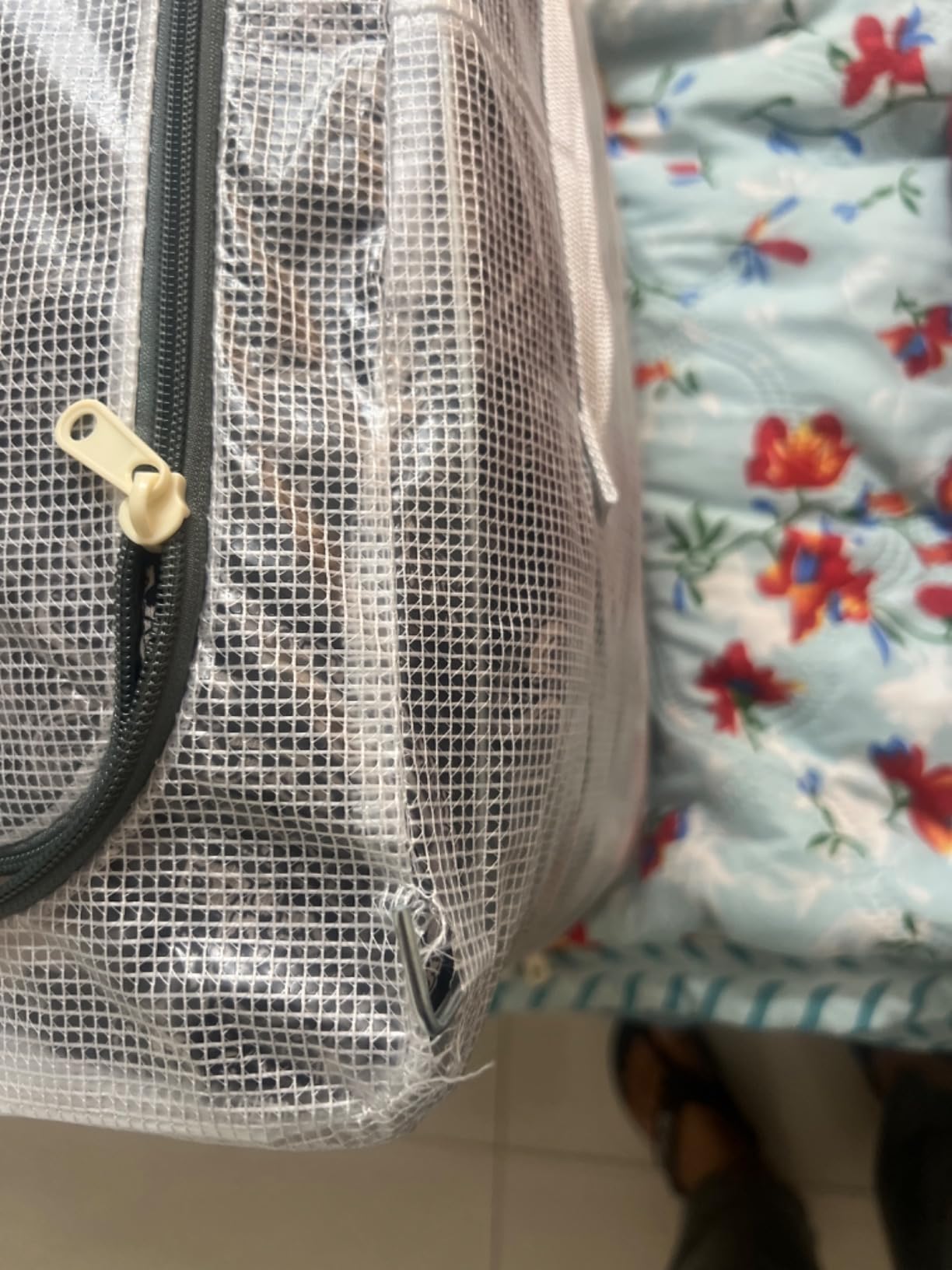 Wolpin PVC Nylon Mesh Cloth Storage Bag for Wardrobe/Saree Cover/Shirts ...