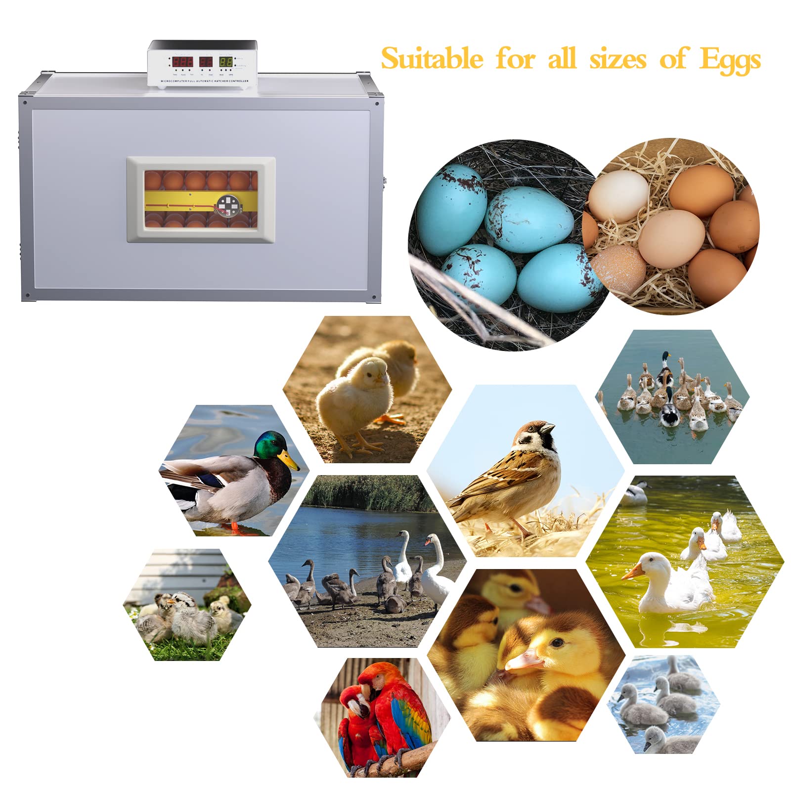 Meuiosd Egg Incubator ?Farm Egg Incubator with Automatic Egg Turning ...
