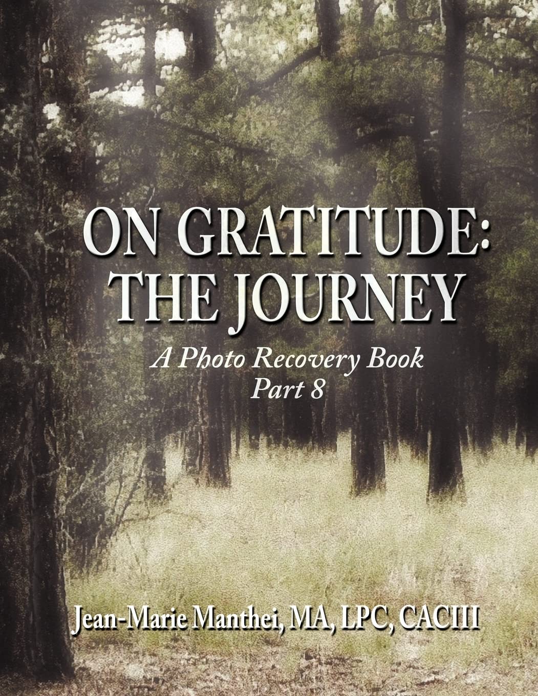 On Gratitude: The Journey: A Photo Recovery Book Part 8: Jean Marie ...