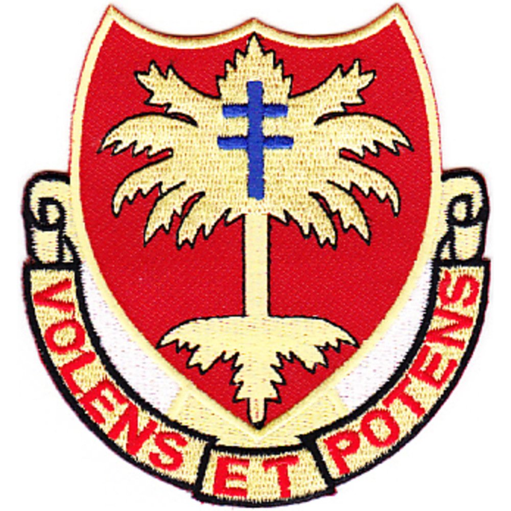 Amazon.com: 320th Airborne Field Artillery Battalion Patch - A Version ...